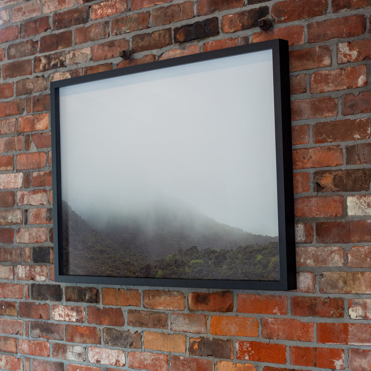 Kahurangi Mist III – Punnet Eatery