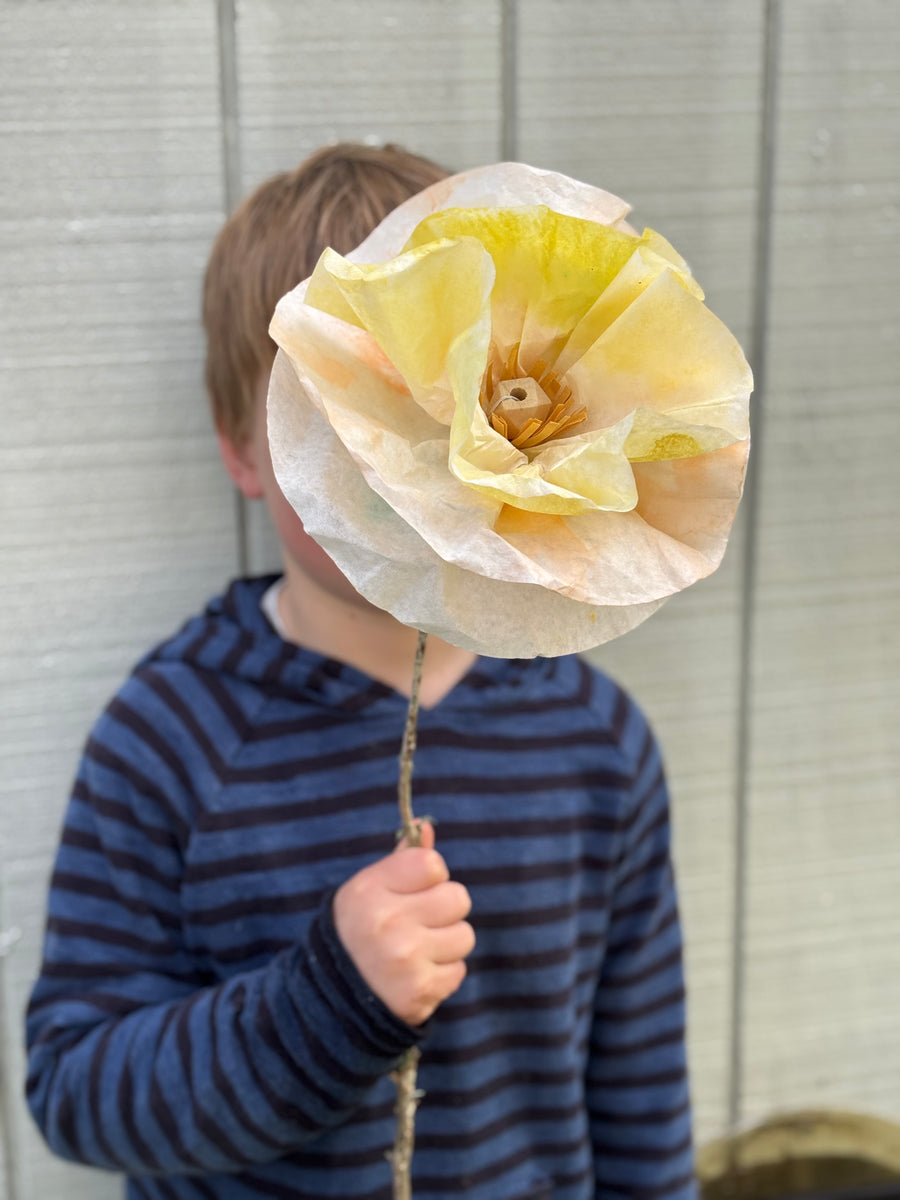 PKC - Paper Flowers & Clay Seed Bombs | Thursday 10th July – Punnet Eatery